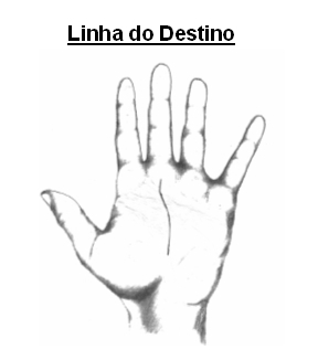 As 7 linhas da sorte: guia rápido para ler as mãos